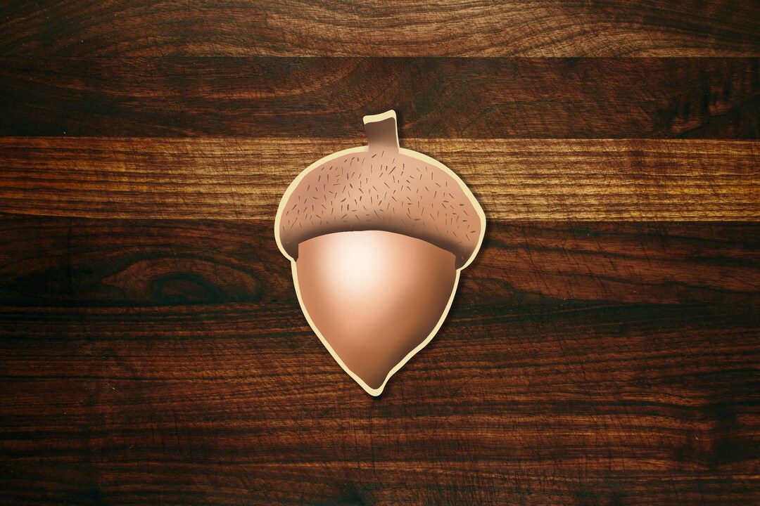Acorn Cookie Cutter | Fall - Etsy