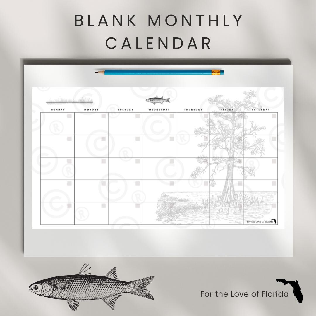 Florida Themed Blank Monthly Calendar Download - Etsy