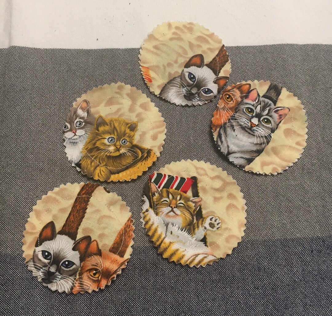 2 Catnip Ravioli Cat Toys 5 Pack - Etsy