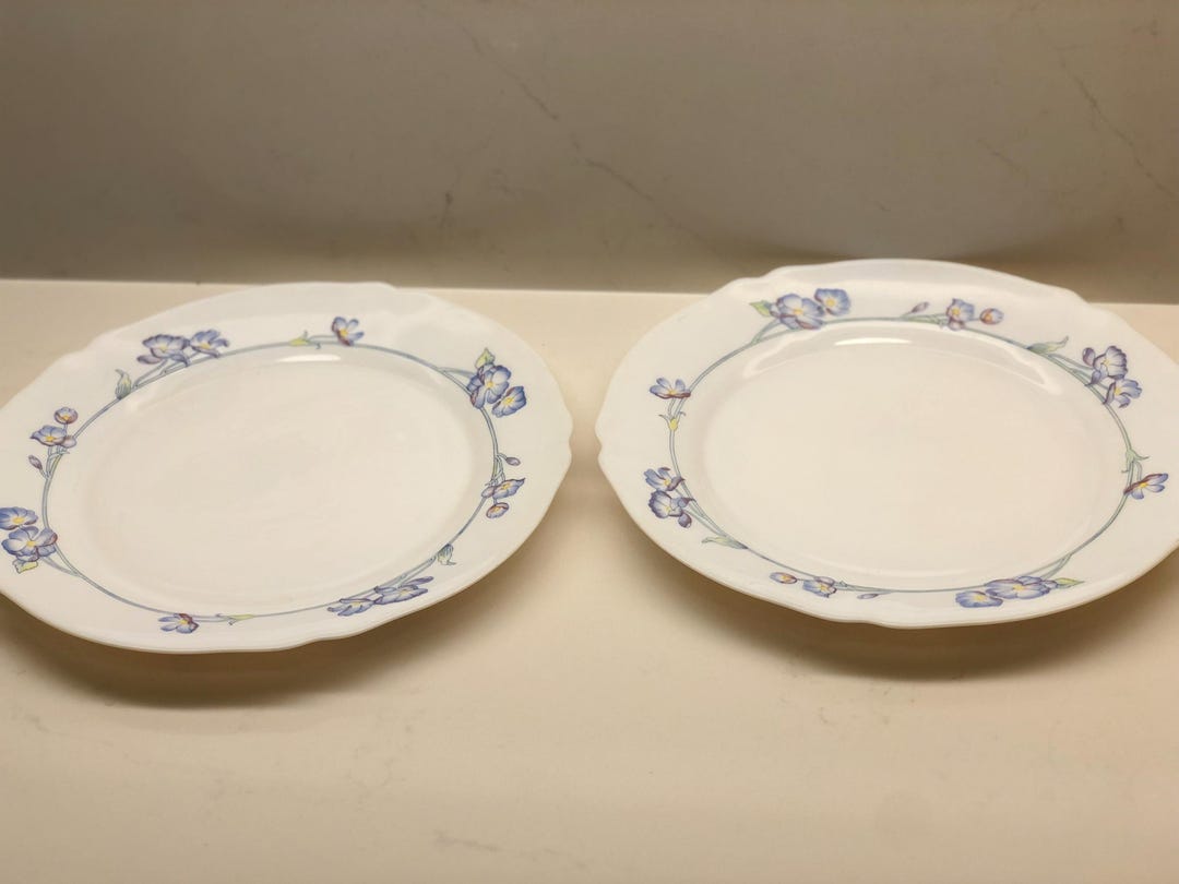 Arc Arcopal Revelation Pattern Dinner Plate 10 3/8” Made in France Set ...