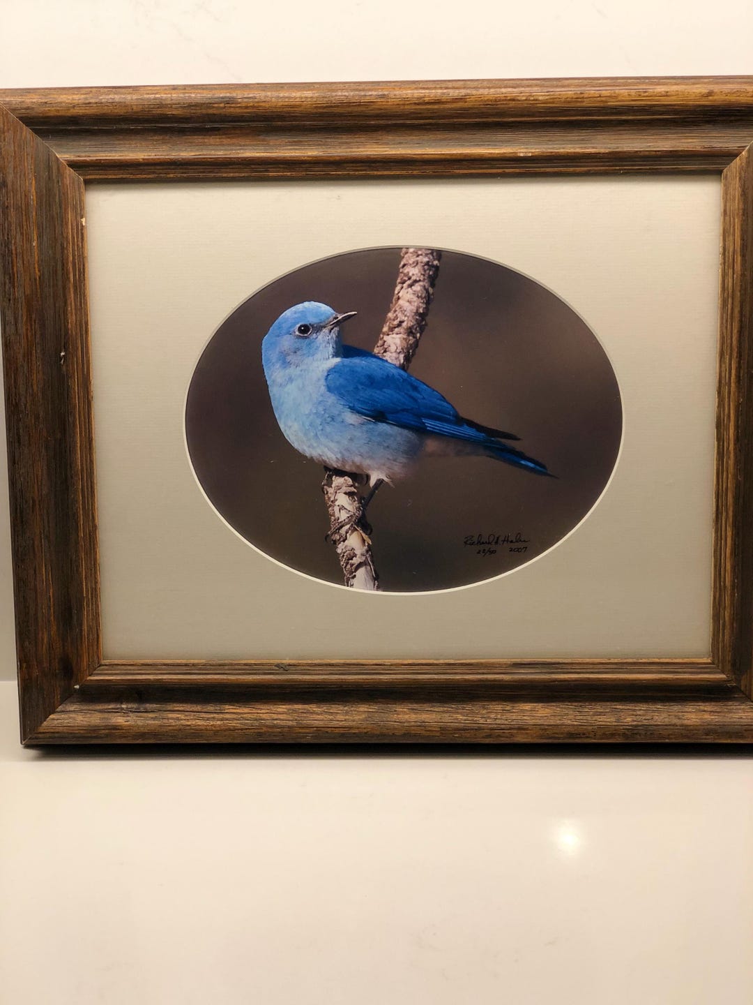 Richard Hahn Print Signed Limited Edition Bluebird Wall Decor 17 to 13 ...