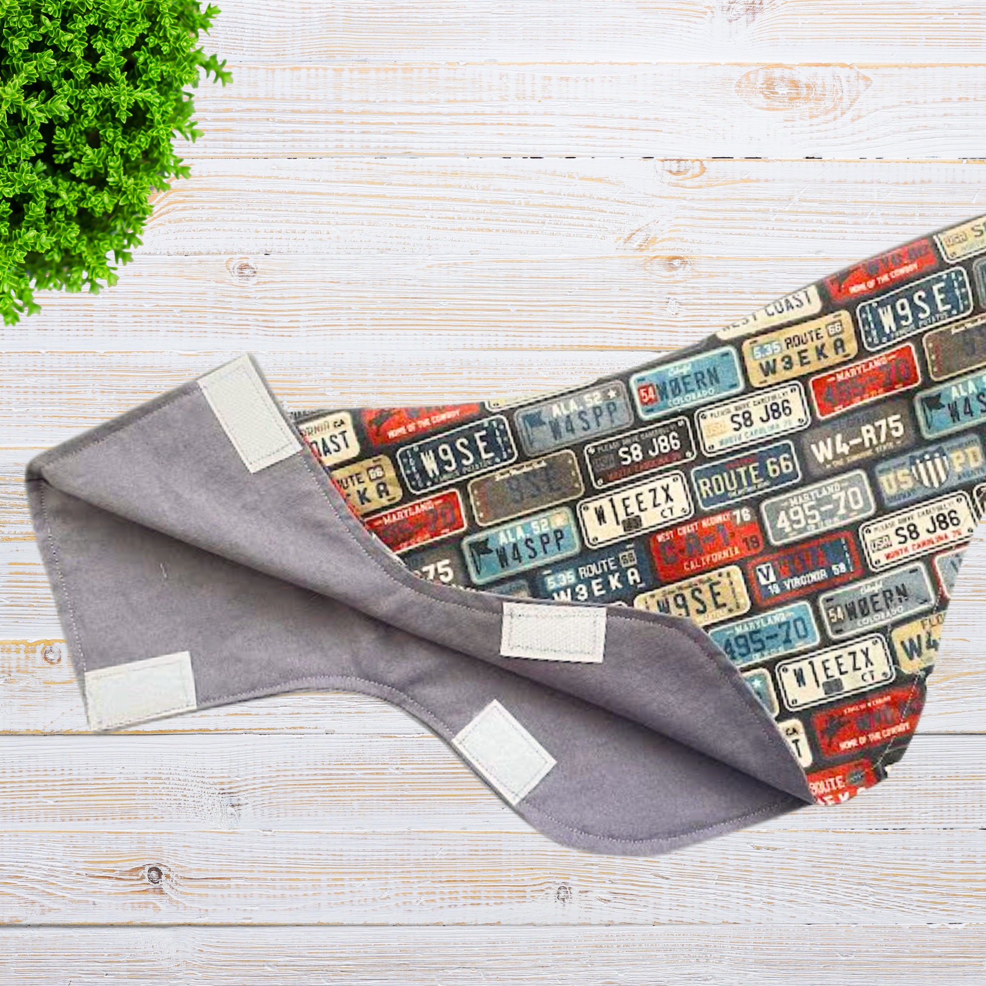 PREMIUM License Plates Thyroid Shield Cover Collar Slip OR X-RAY ...