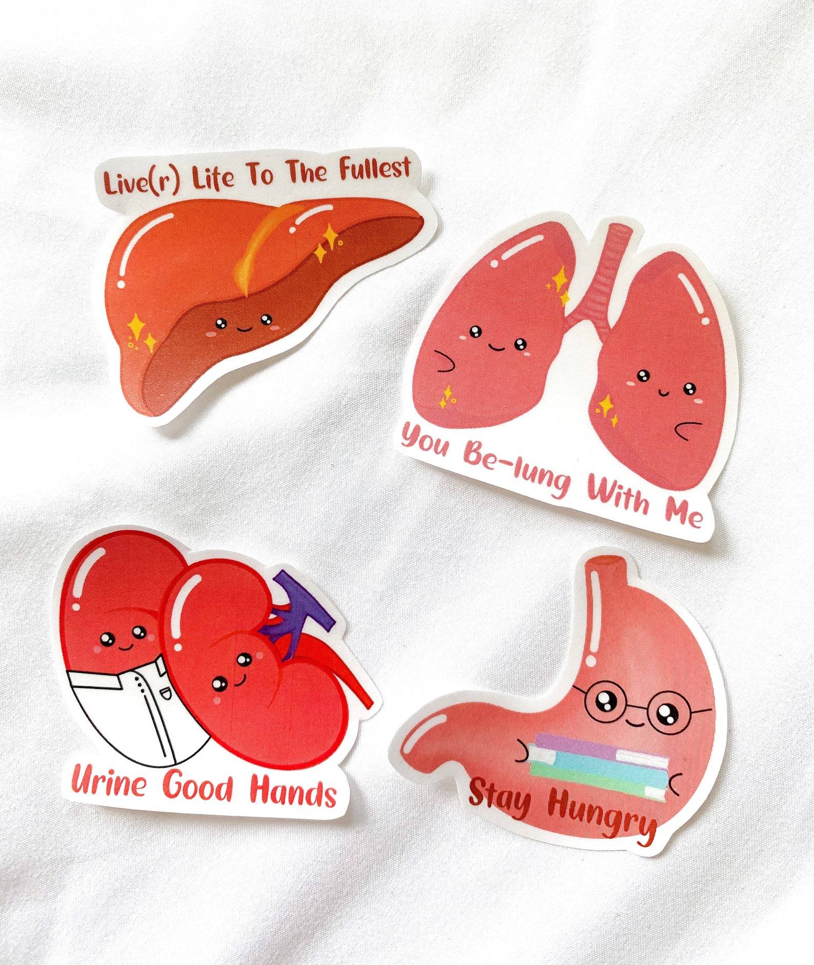 Liver sticker anatomy sticker science sticker biology | Etsy