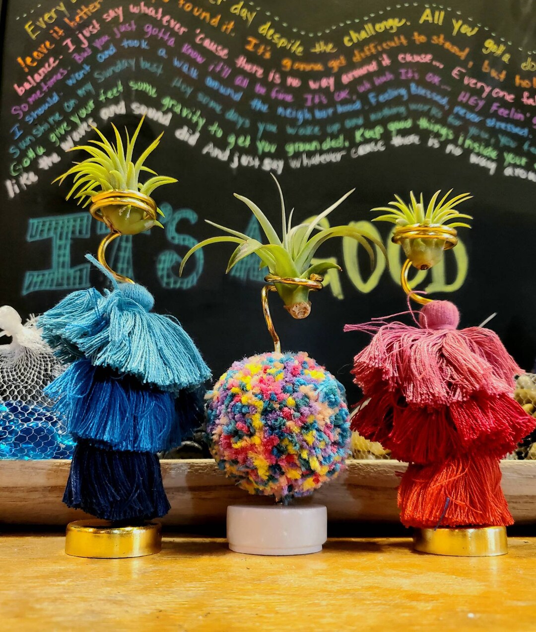 Rainbow Pom Pom Puffball .. Air Plant Holder 5 Tall - Etsy