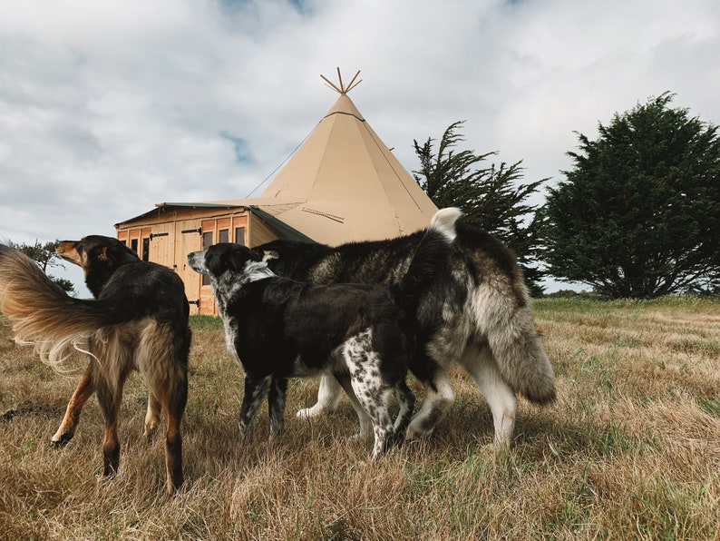 Giant Sami Tent for Outdoor Event/farm/ranch/backyard - Etsy