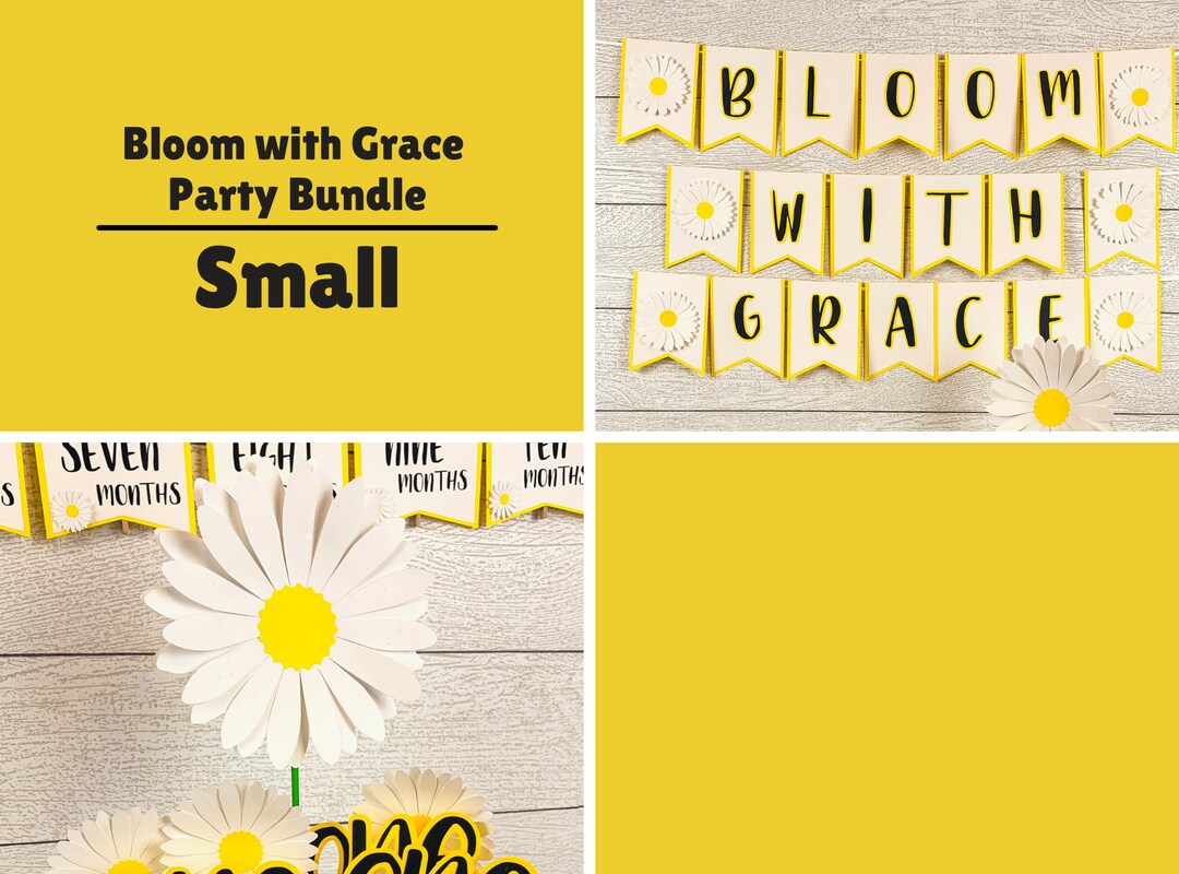 Daisy Party Small Bundle Daisy Theme First Birthday Decorations Bloom ...