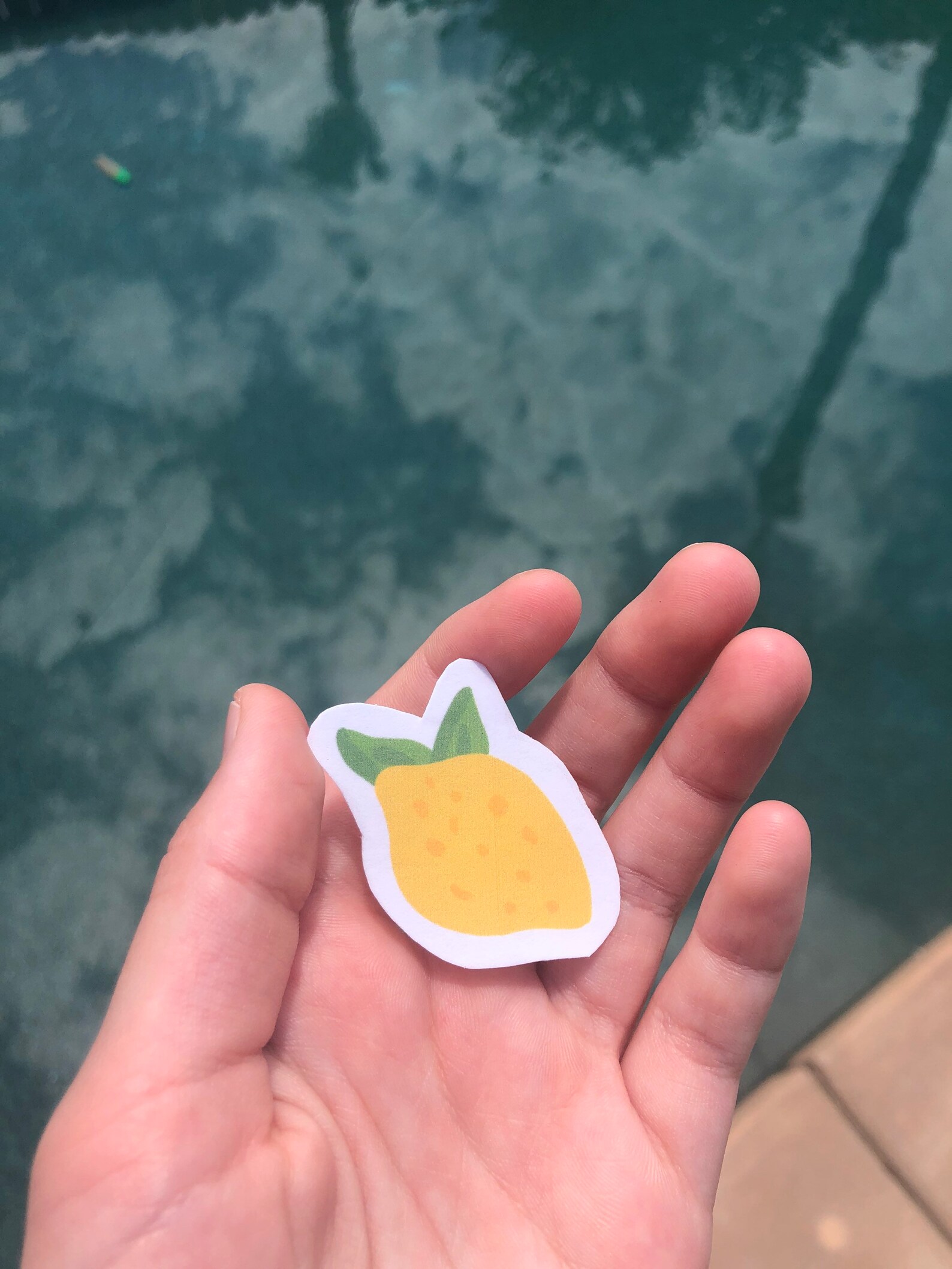 Aesthetic Cute Summer Lemon Sticker - Etsy