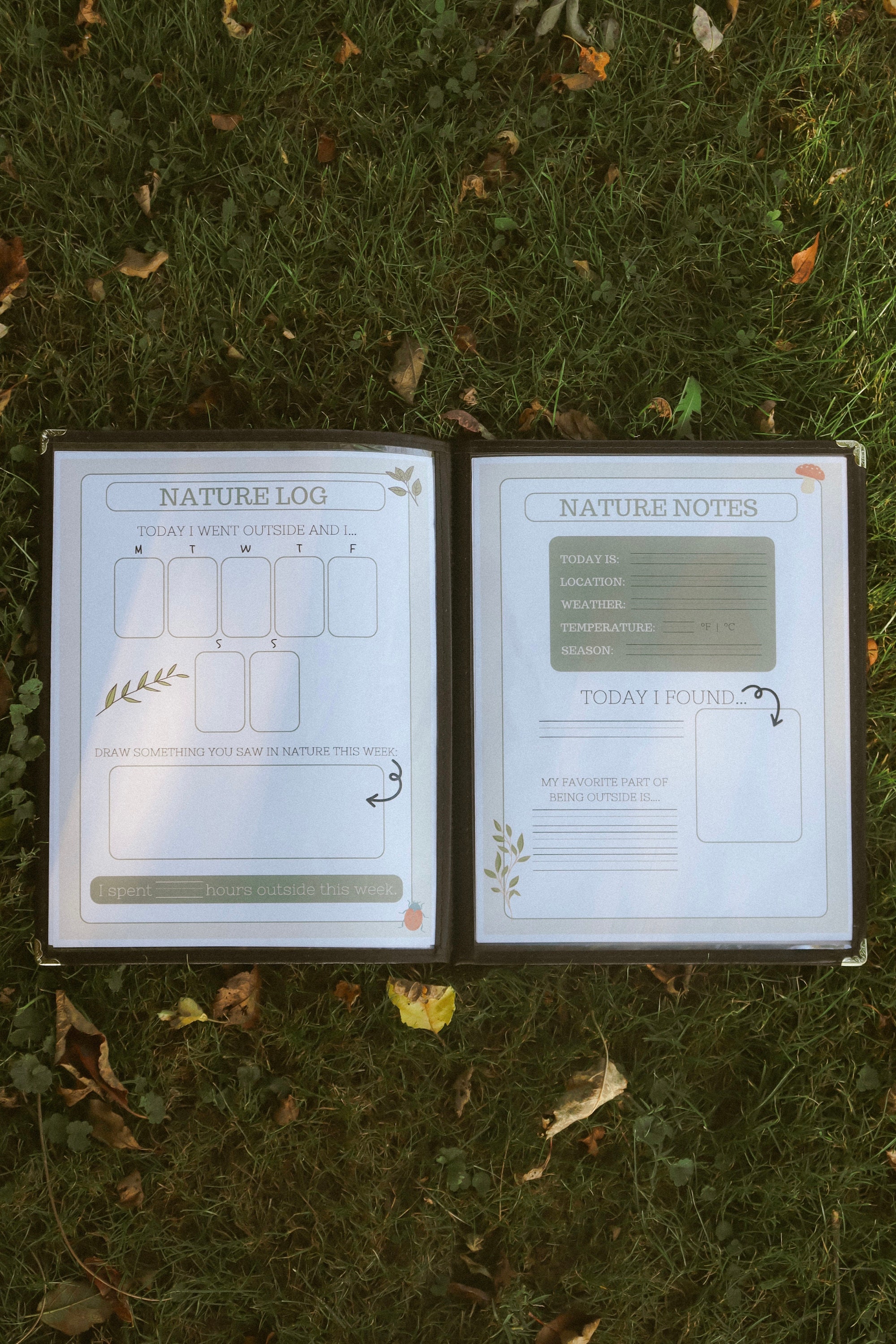 Printable Nature Journal | Nature Packet for Homeschool and Students ...