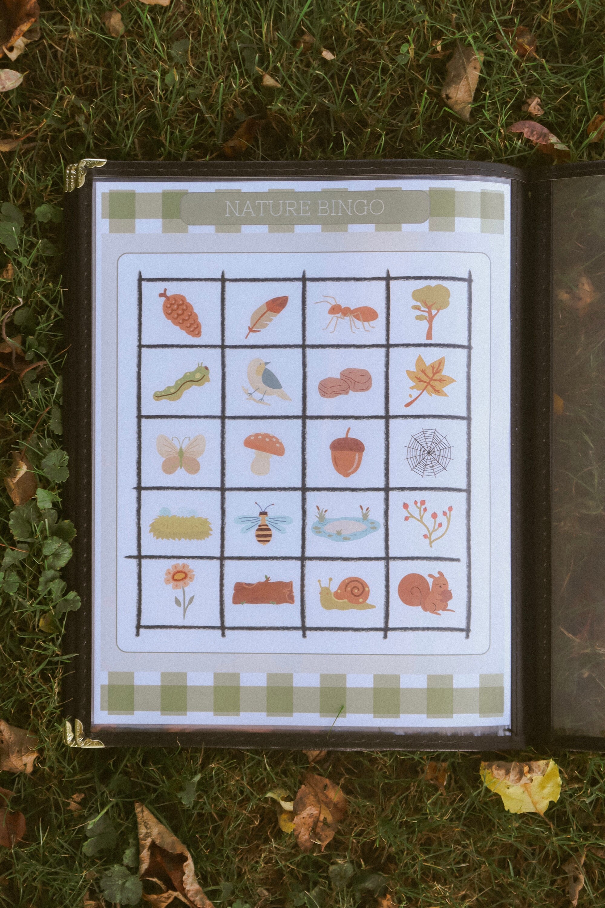 Printable Nature Journal | Nature Packet for Homeschool and Students ...