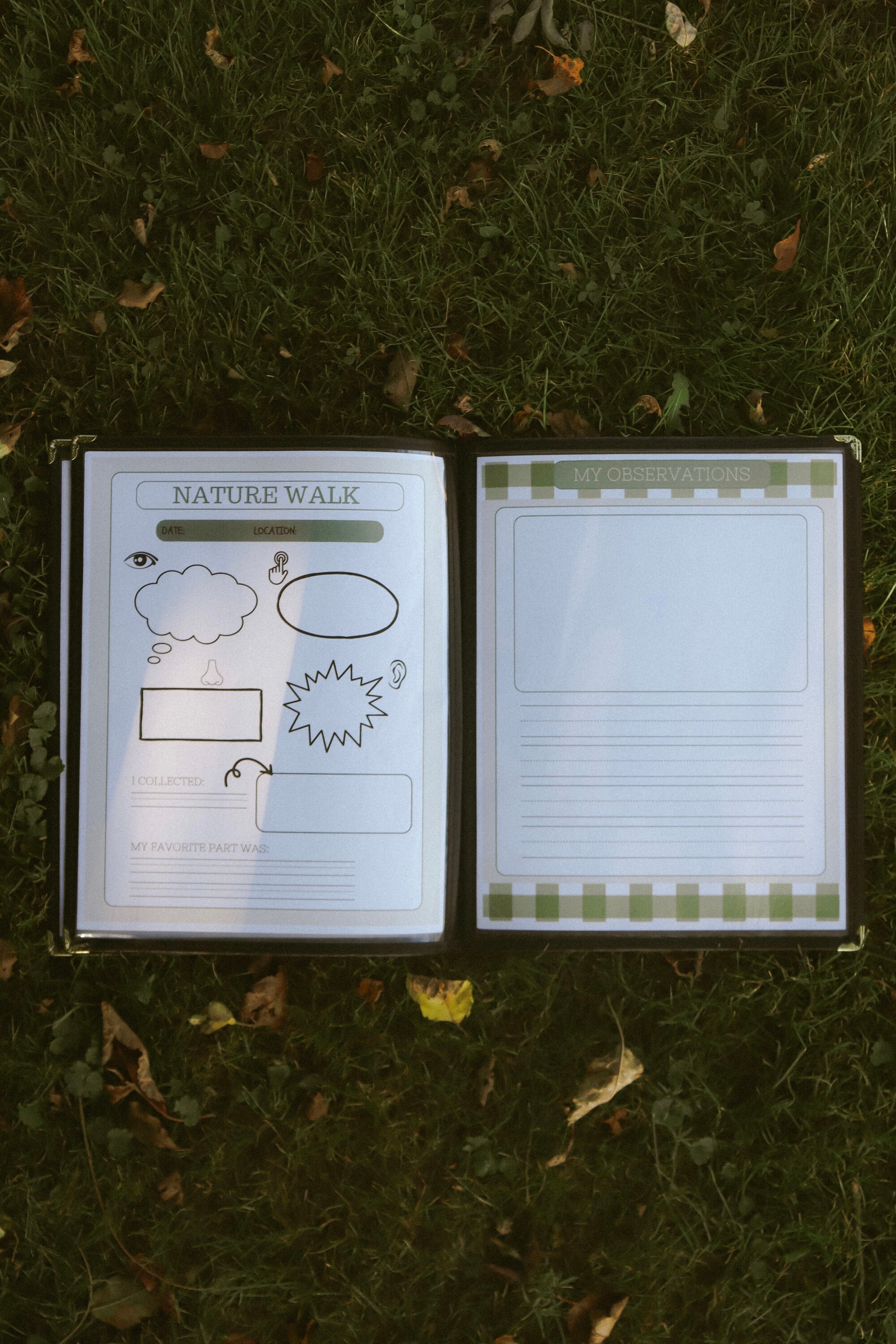 Printable Nature Journal | Nature Packet for Homeschool and Students ...