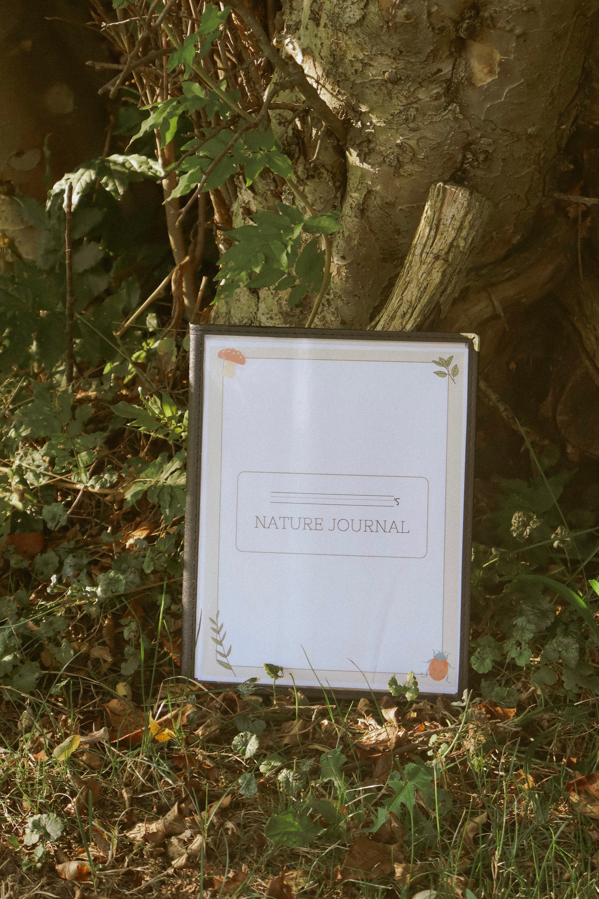 Printable Nature Journal | Nature Packet for Homeschool and Students ...