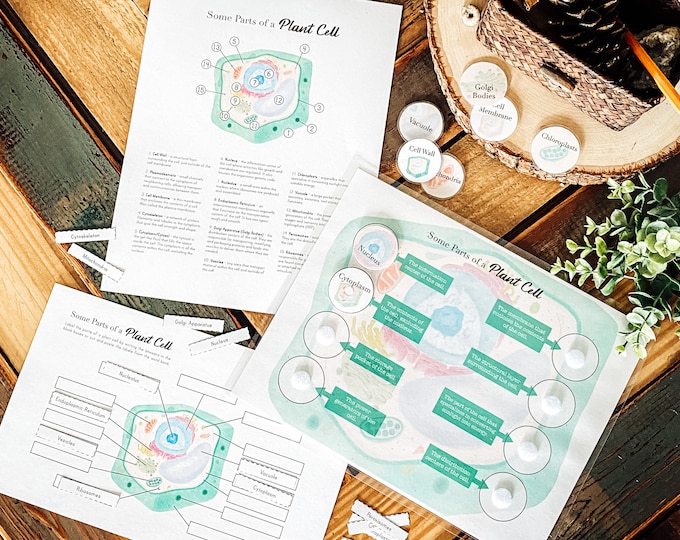 Parts of a Plant Cell Nomenclature Book - Science - Printable ...