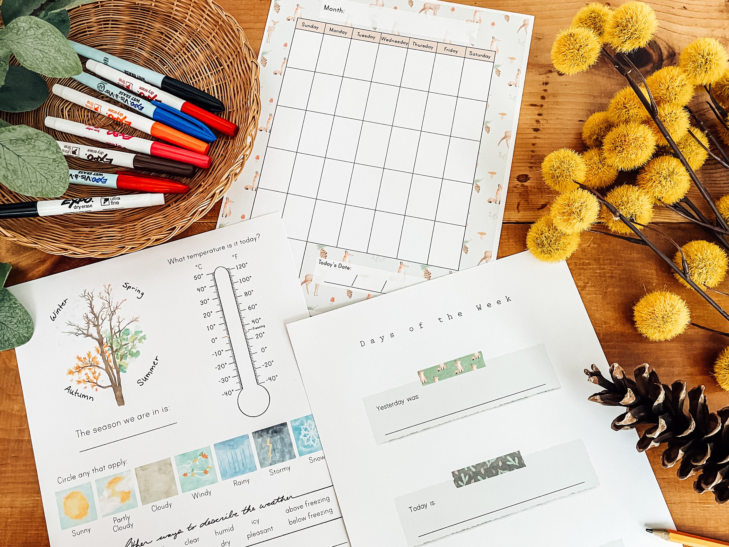 Calendar and Weather Pages Forest Theme // Homeschool - Etsy