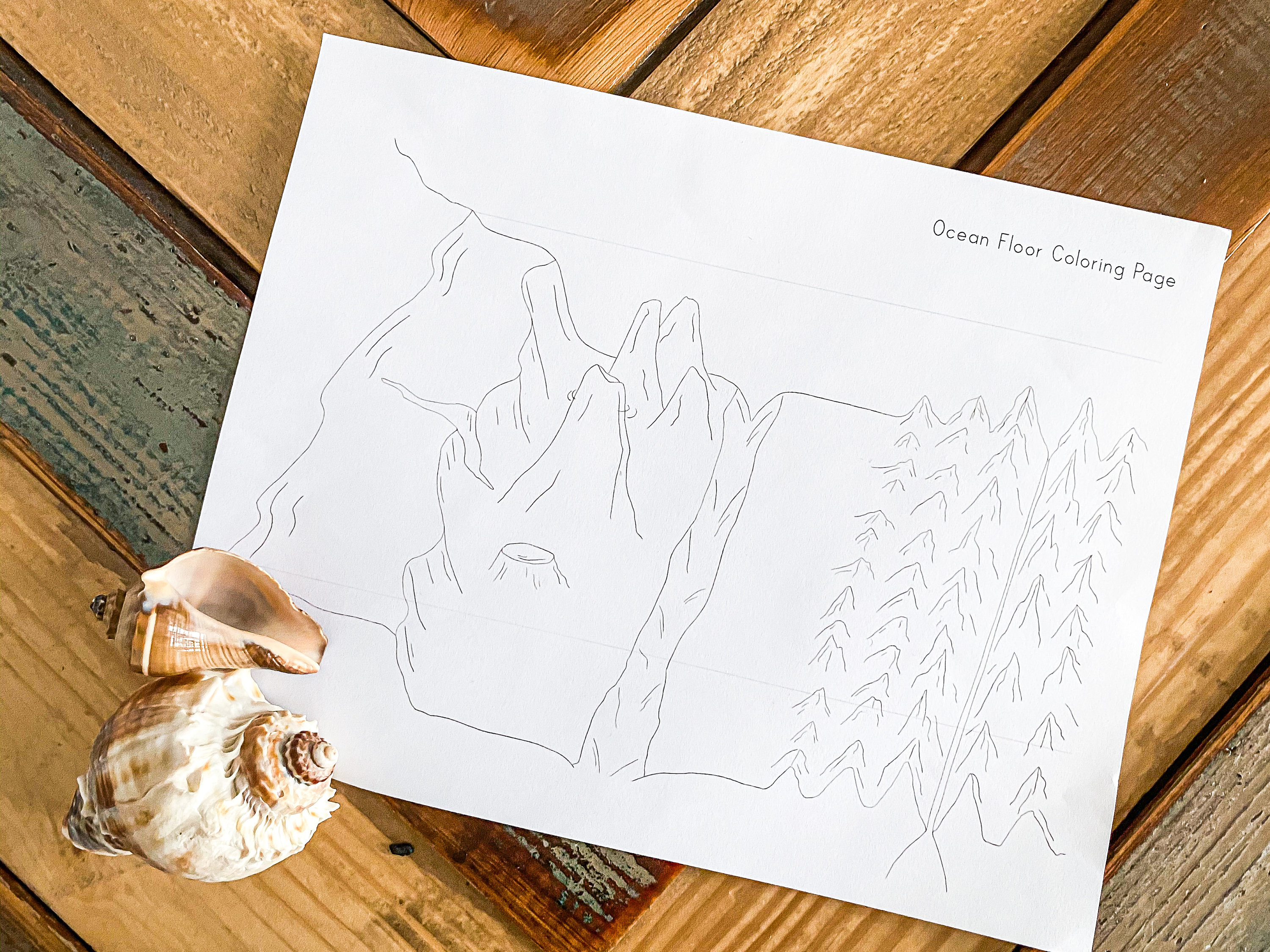 Ocean Science Resource Pack // Homeschool Resources // Ocean Zones ...