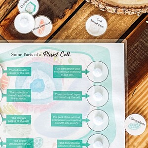 Plant Cell Science Resource Pack // Parts of a Plant Cell // Homeschool ...