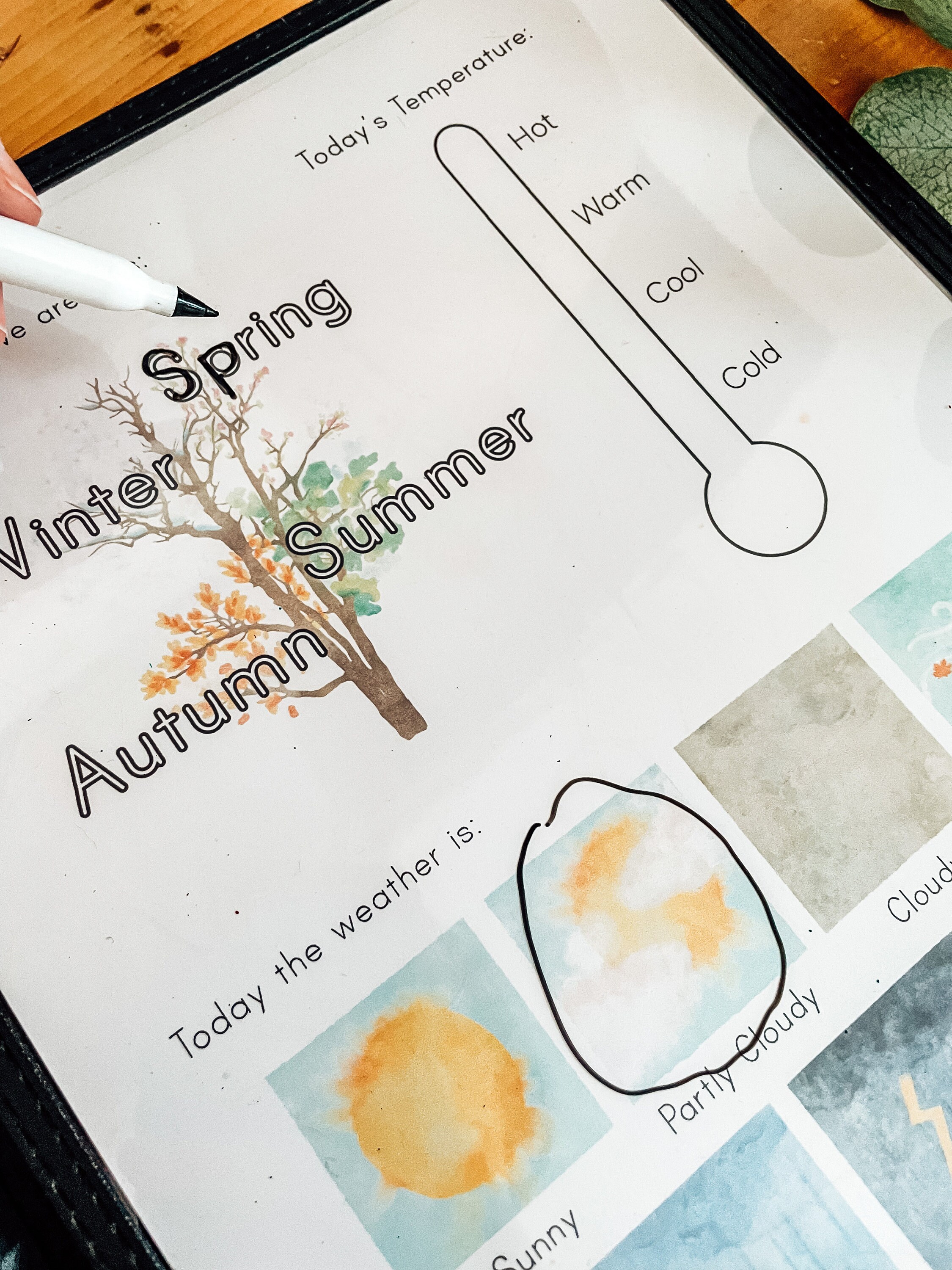 Calendar and Weather Pages for Littles // Circle Time Activities ...