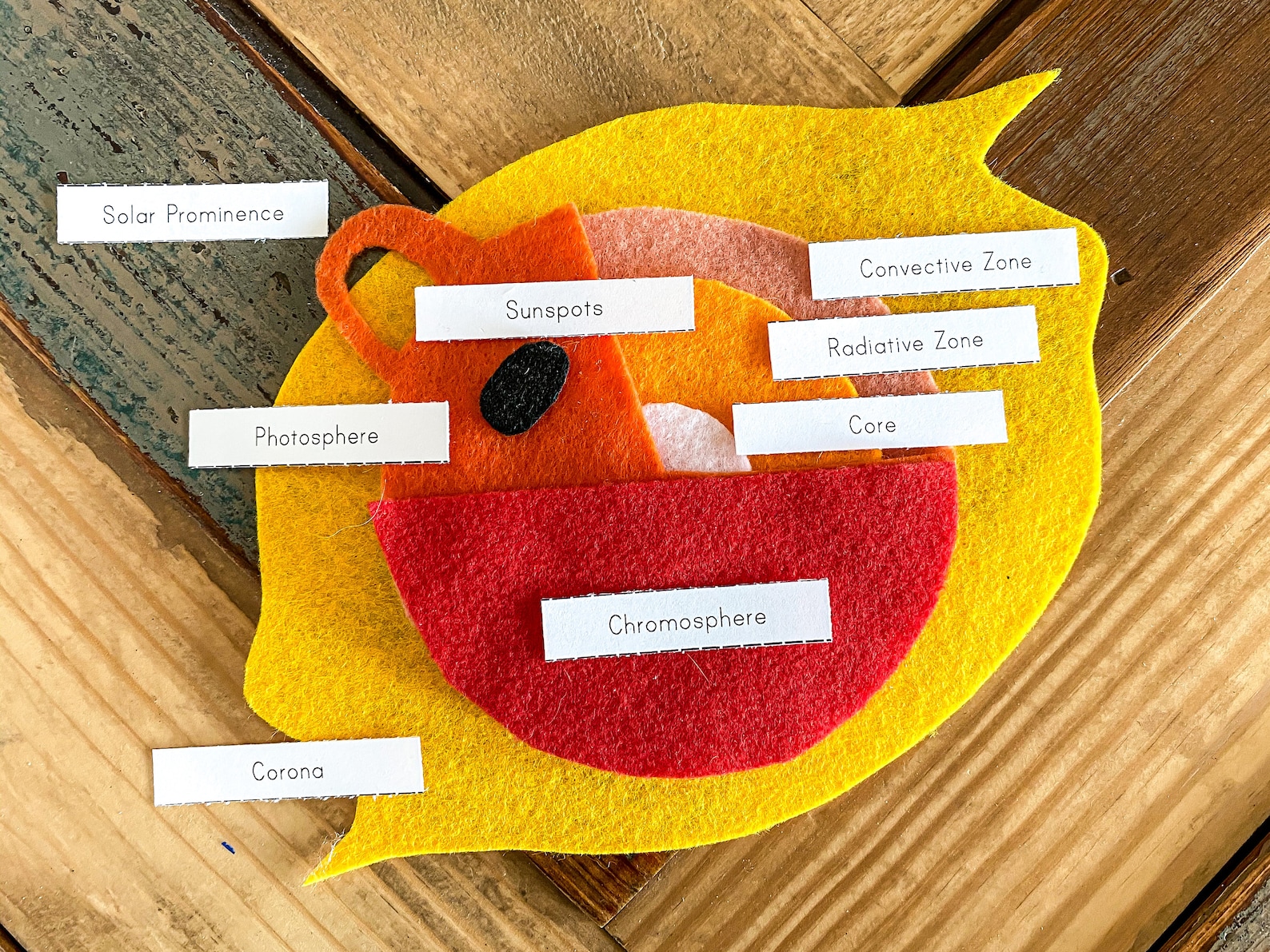 Parts of the Sun Science Resource Pack // Homeschool Science Resources ...