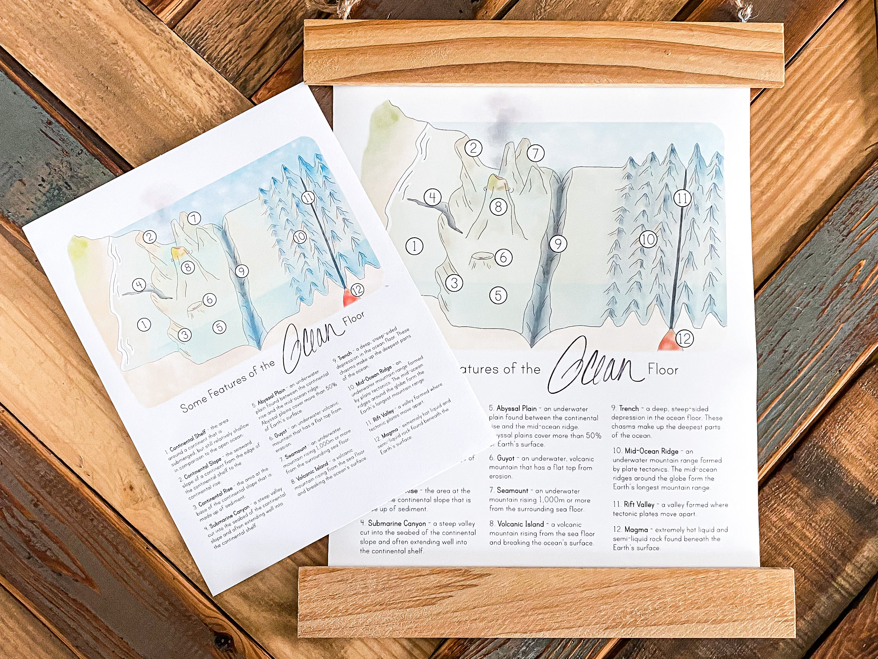 Ocean Science Resource Pack // Homeschool Resources // Ocean Zones ...