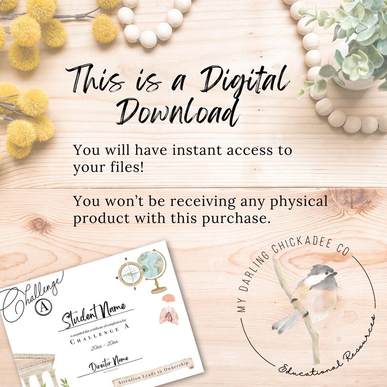 Editable CC Challenge A Certificate | CC End of Year Celebration Award ...