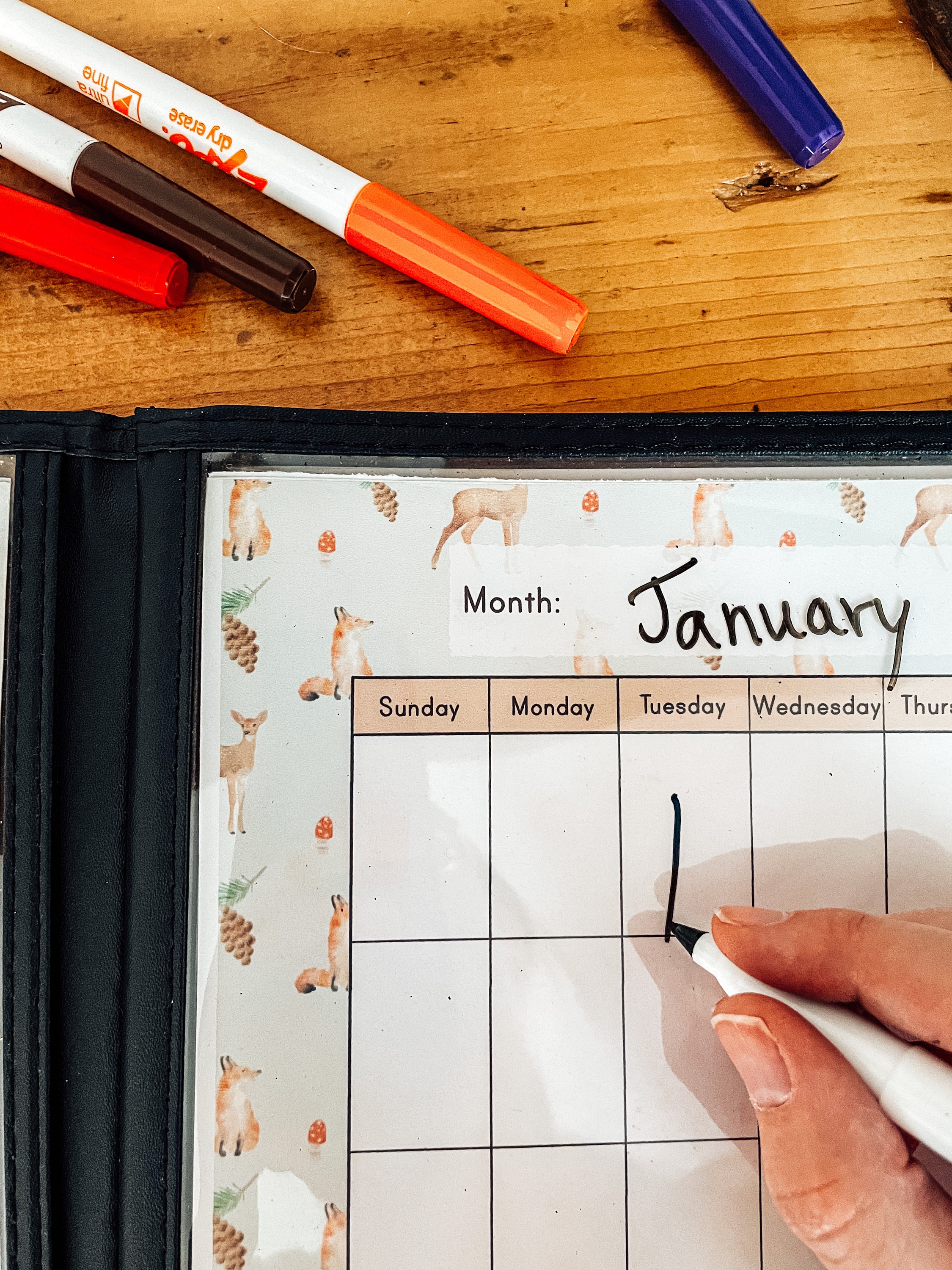 Calendar and Weather Pages Forest Theme // Homeschool - Etsy