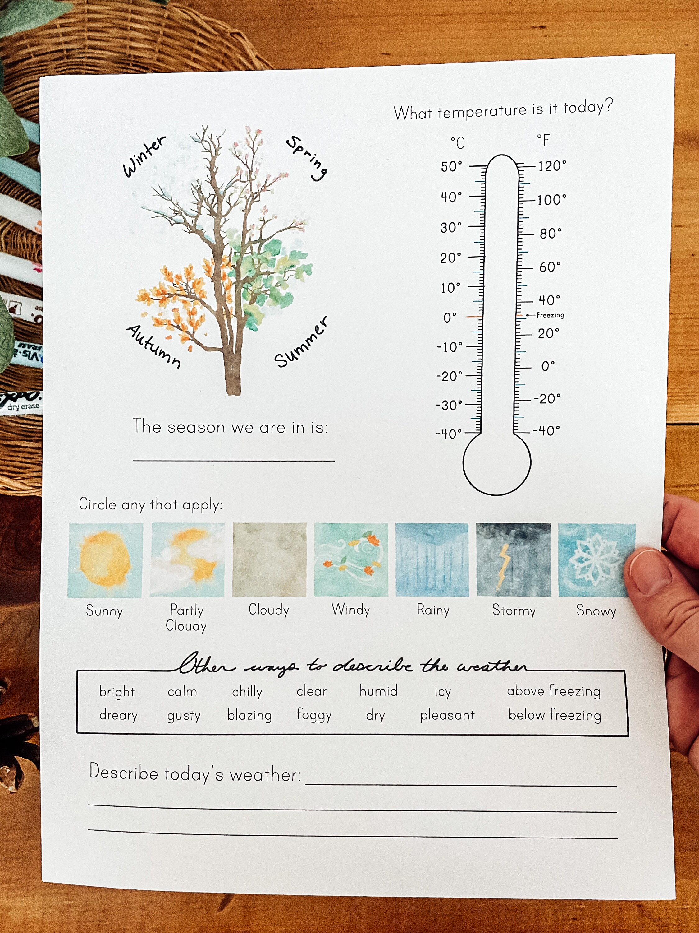 Calendar and Weather Pages Forest Theme // Homeschool - Etsy