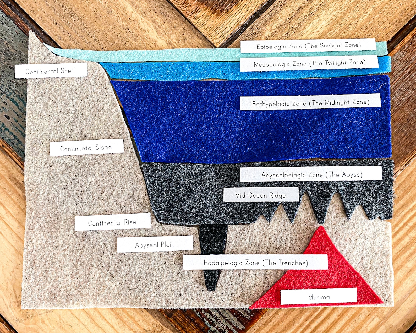 Ocean Science Resource Pack // Homeschool Resources // Ocean Zones ...