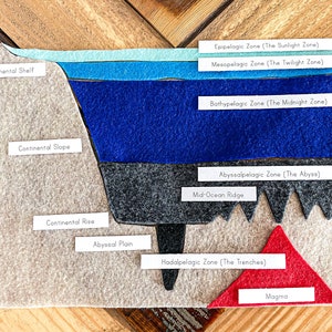 Ocean Science Resource Pack // Homeschool Resources // Ocean Zones ...