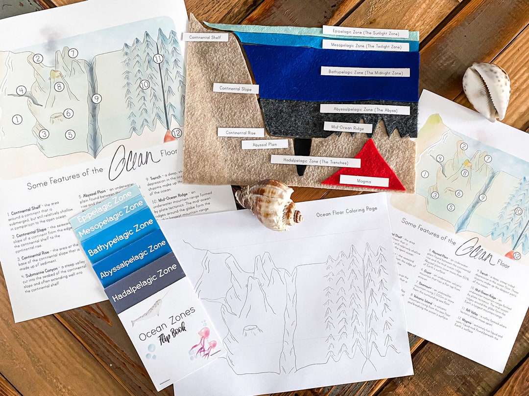 Ocean Science Resource Pack // Homeschool Resources // Ocean Zones ...