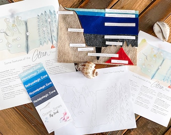 Life Cycle of a Clownfish Foldable Kids' Craft A4 and 11x8.5 Inch ...