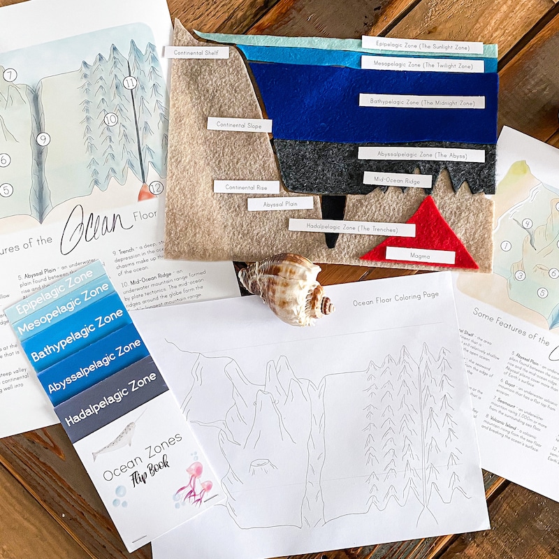 Science Poster - Etsy