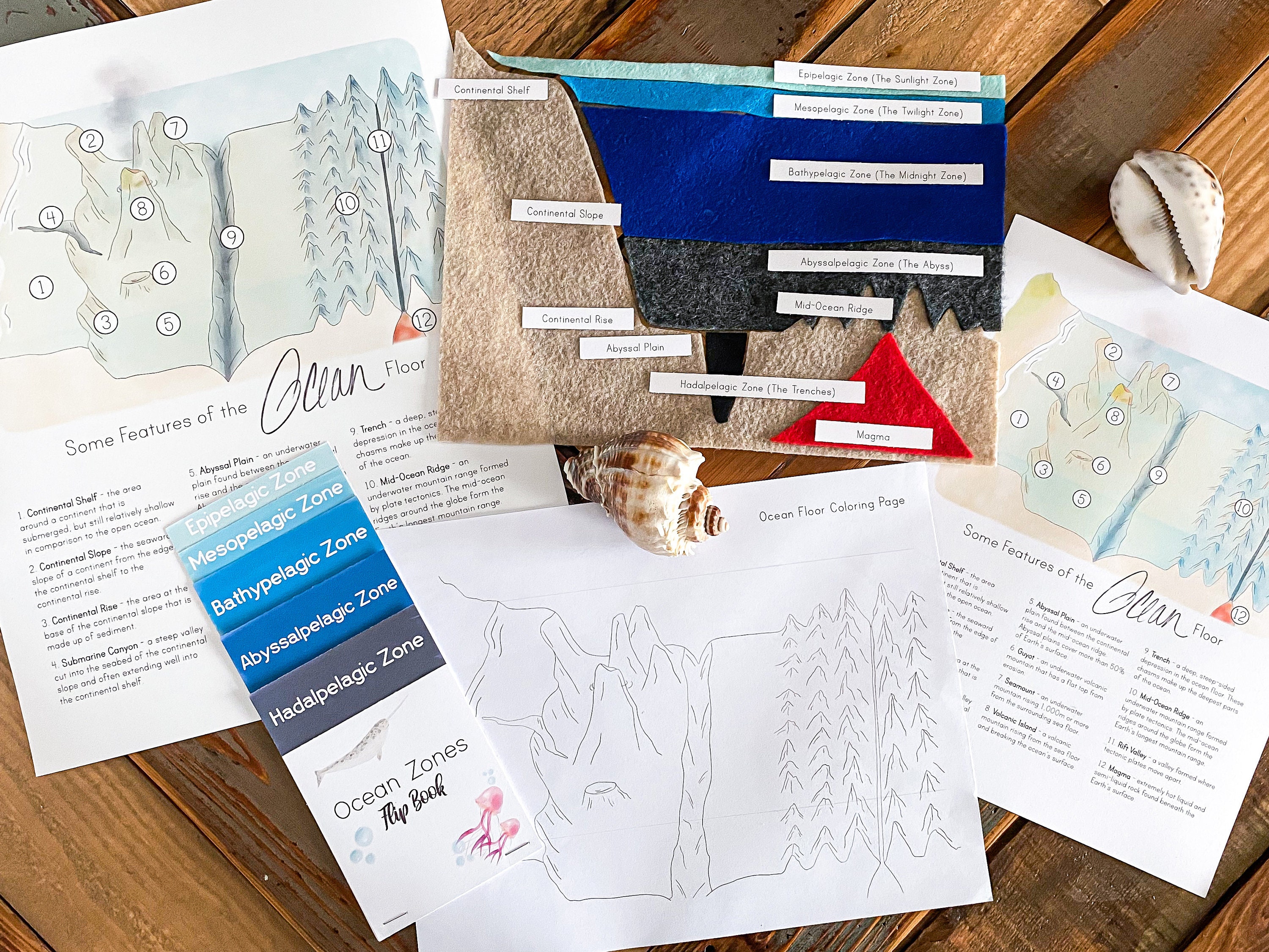 Ocean Science Resource Pack // Homeschool Resources // Ocean Zones ...