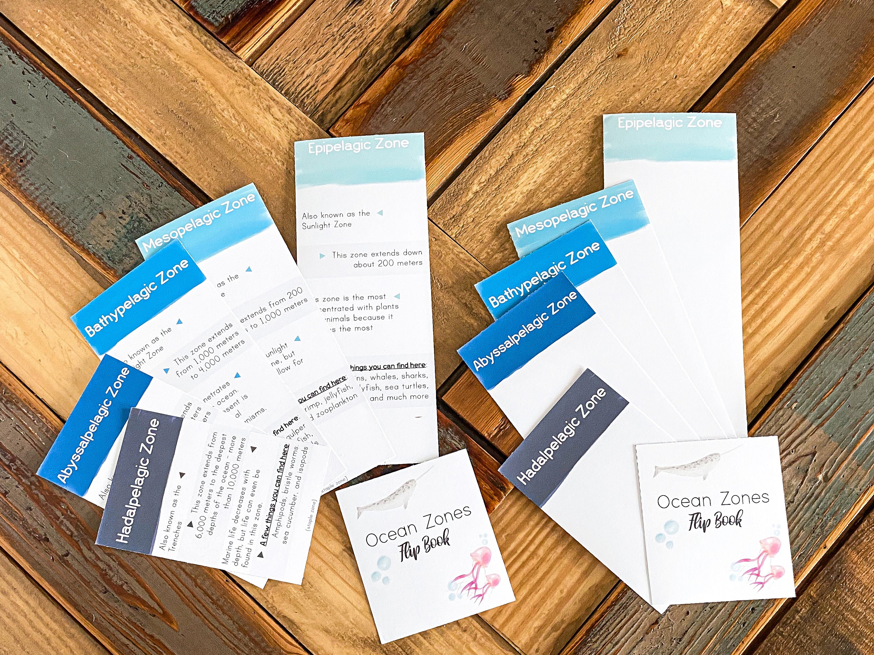 Ocean Science Resource Pack // Homeschool Resources // Ocean Zones ...