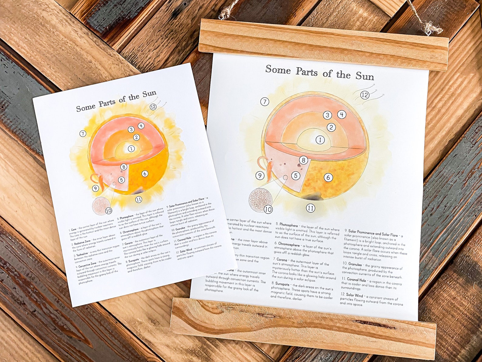 Parts of the Sun Science Resource Pack // Homeschool Science Resources ...