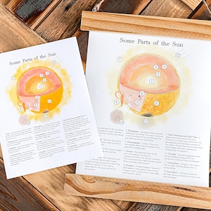 Parts of the Sun Science Resource Pack // Homeschool Science Resources ...