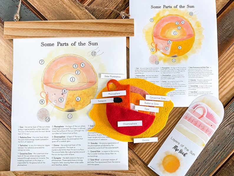 Parts of the Sun Science Resource Pack // Homeschool Science Resources ...