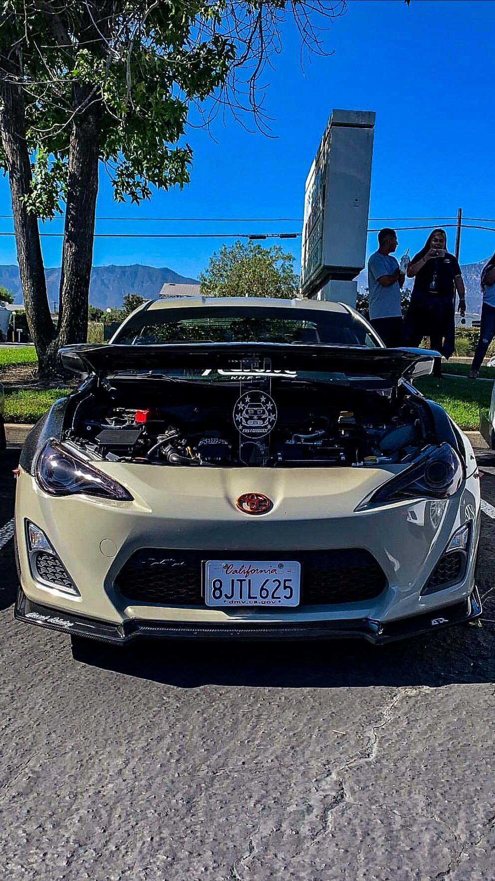 Custom Acrylic Hood Prop - Etsy