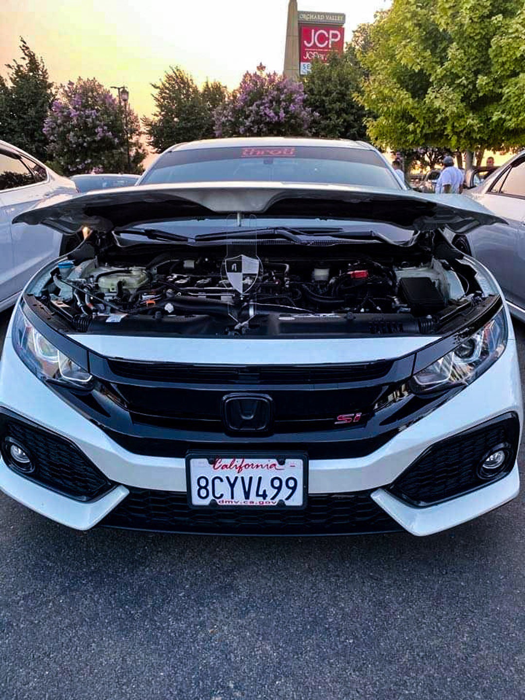 Custom Acrylic Hood Prop - Etsy