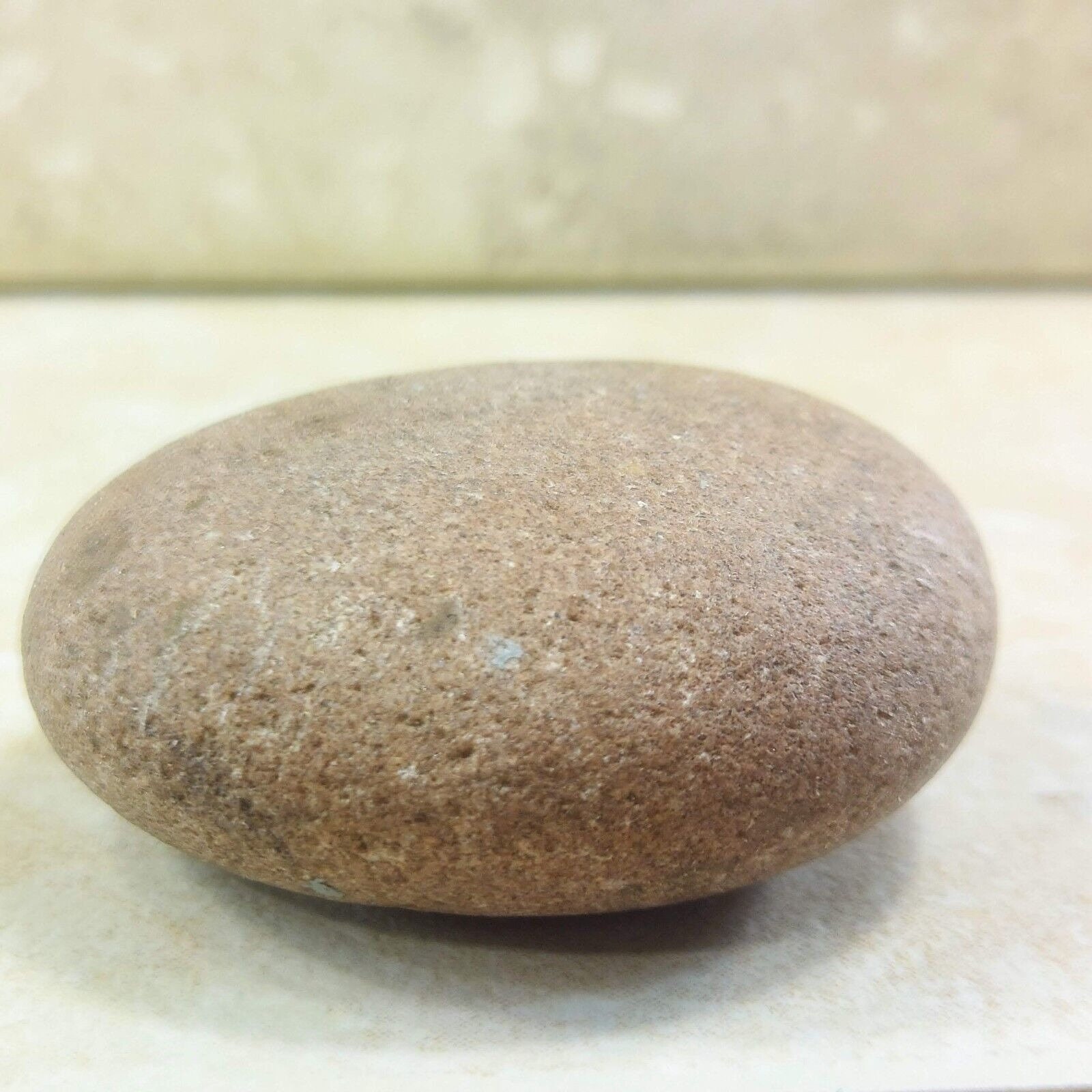 Rare Round Button Rock Stone: Catskill Mountains Collectible - Etsy