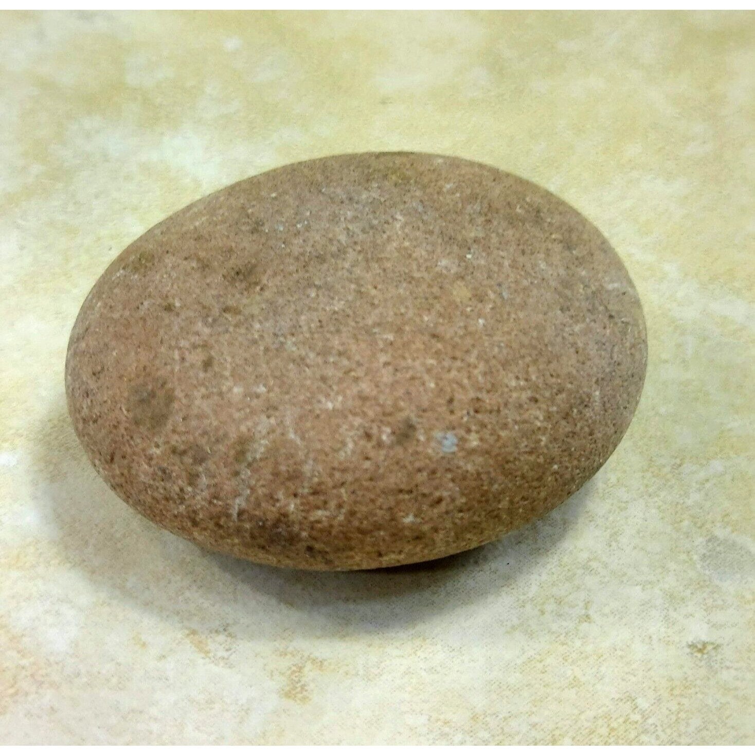 Rare Round Button Rock Stone: Catskill Mountains Collectible - Etsy
