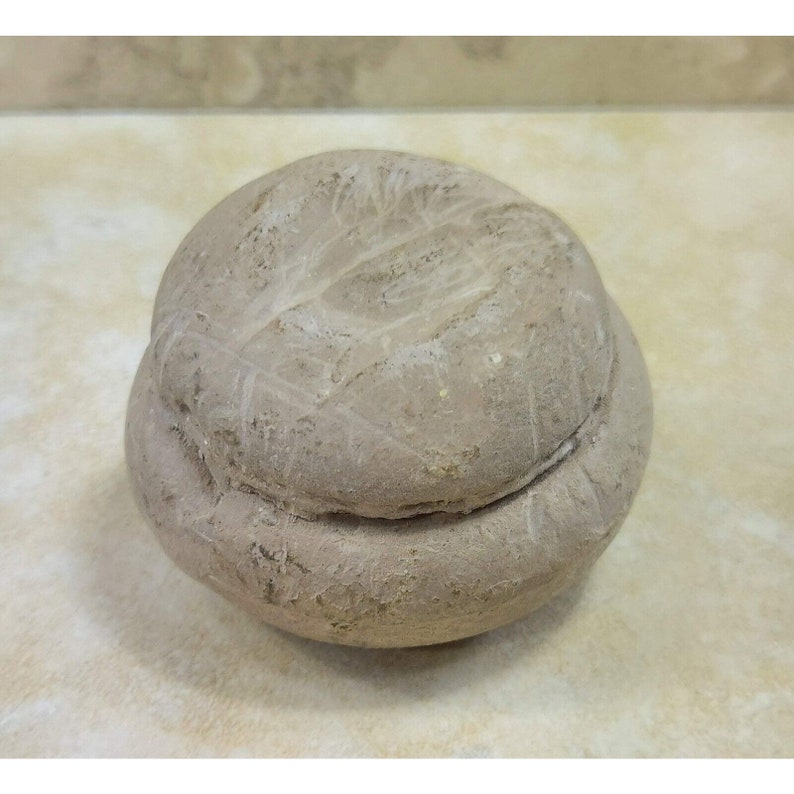 Rare Button Rock Stone Beautiful Natural Symmetrical Mineral Stones ...