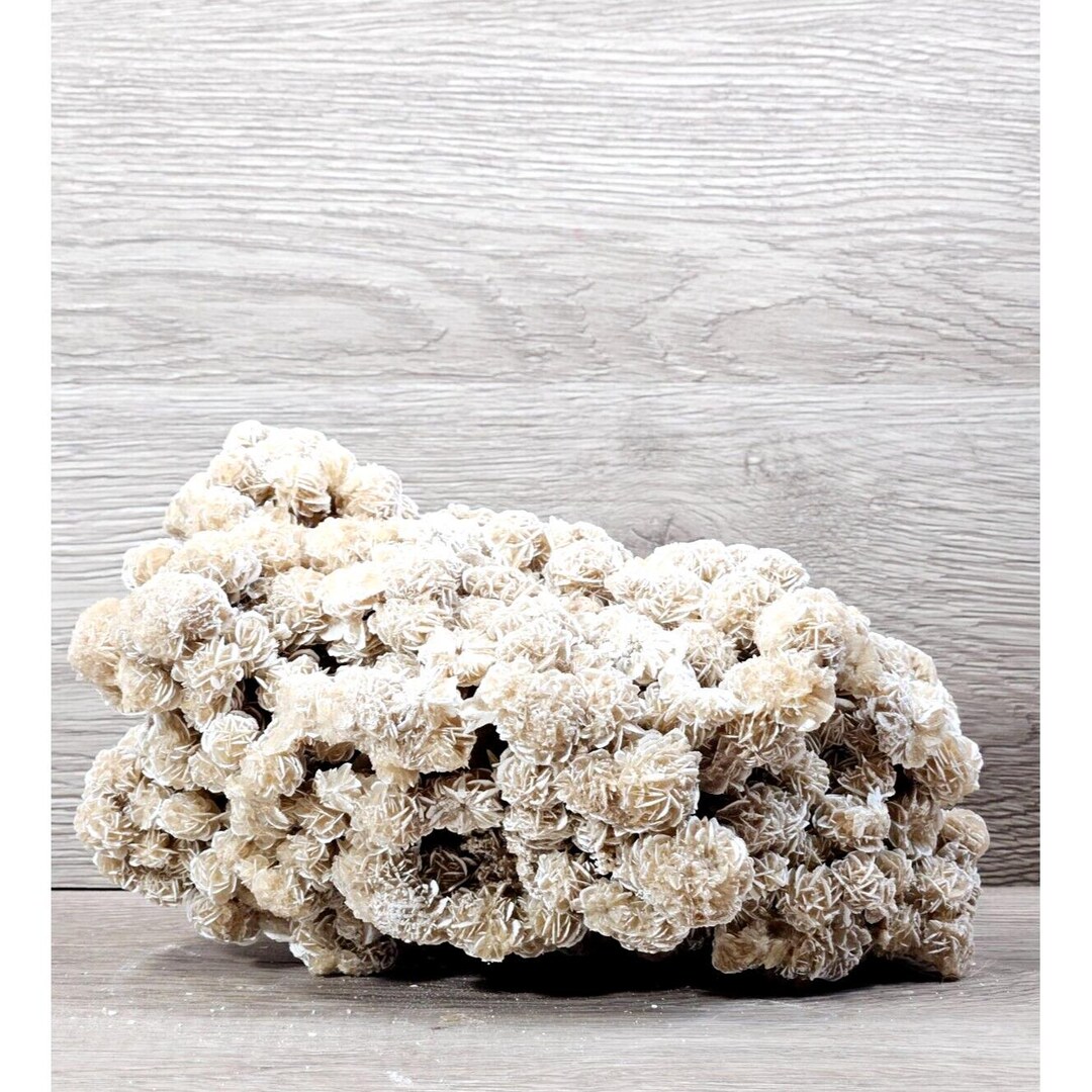 Desert Rose Selenite Natural Raw Gemstone Mineral Crystal Sand Rose ...