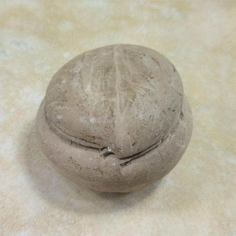 Rare Button Rock Stone Beautiful Natural Symmetrical Mineral Stones ...