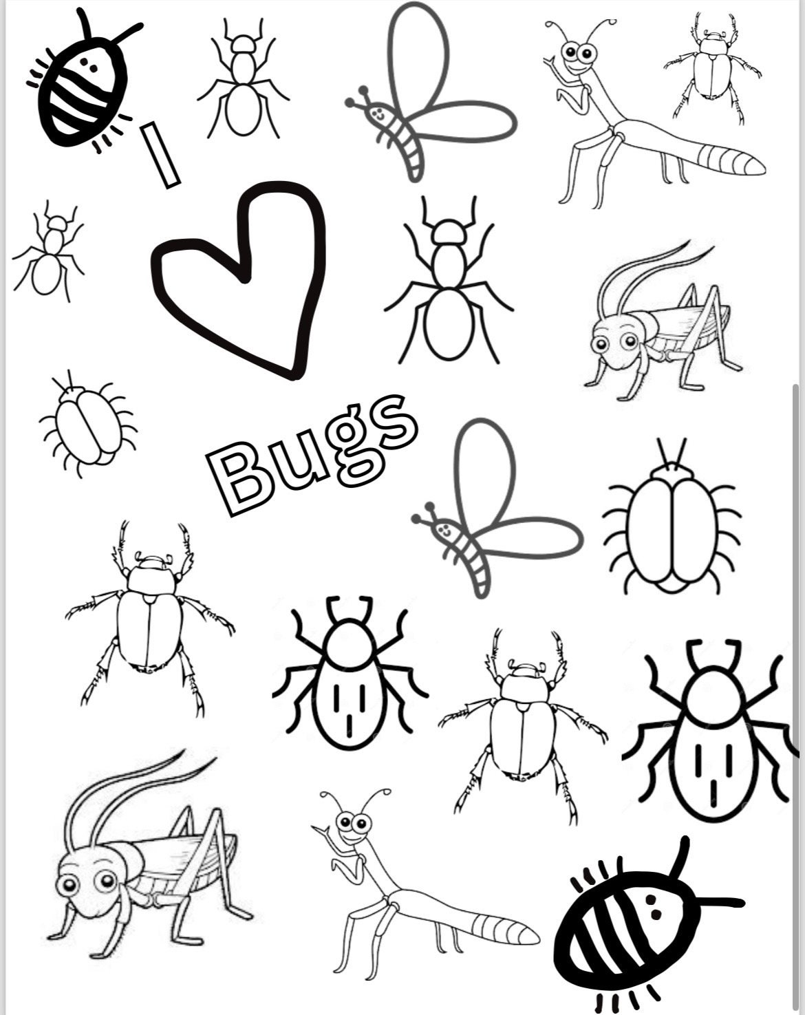 Printable Bug Themed Coloring Pages - Etsy