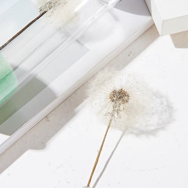 Dandelion in Resin - Etsy