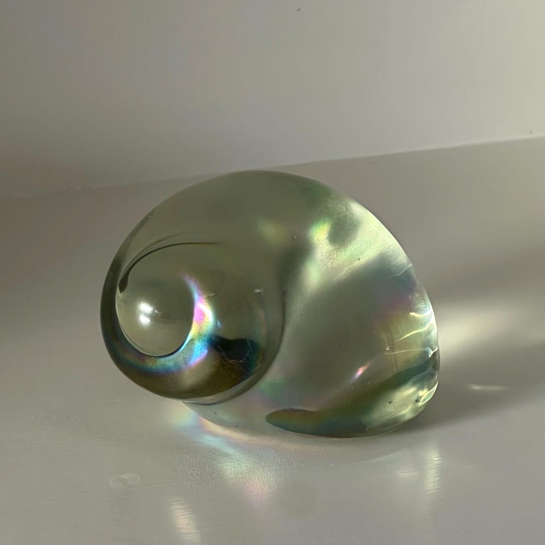 Iridescent Glass Shell Paperweight - Etsy