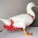 High Quality Duck Diaper, Goose Diaper, TURKEY GIRL Diaper, Open Tail ...