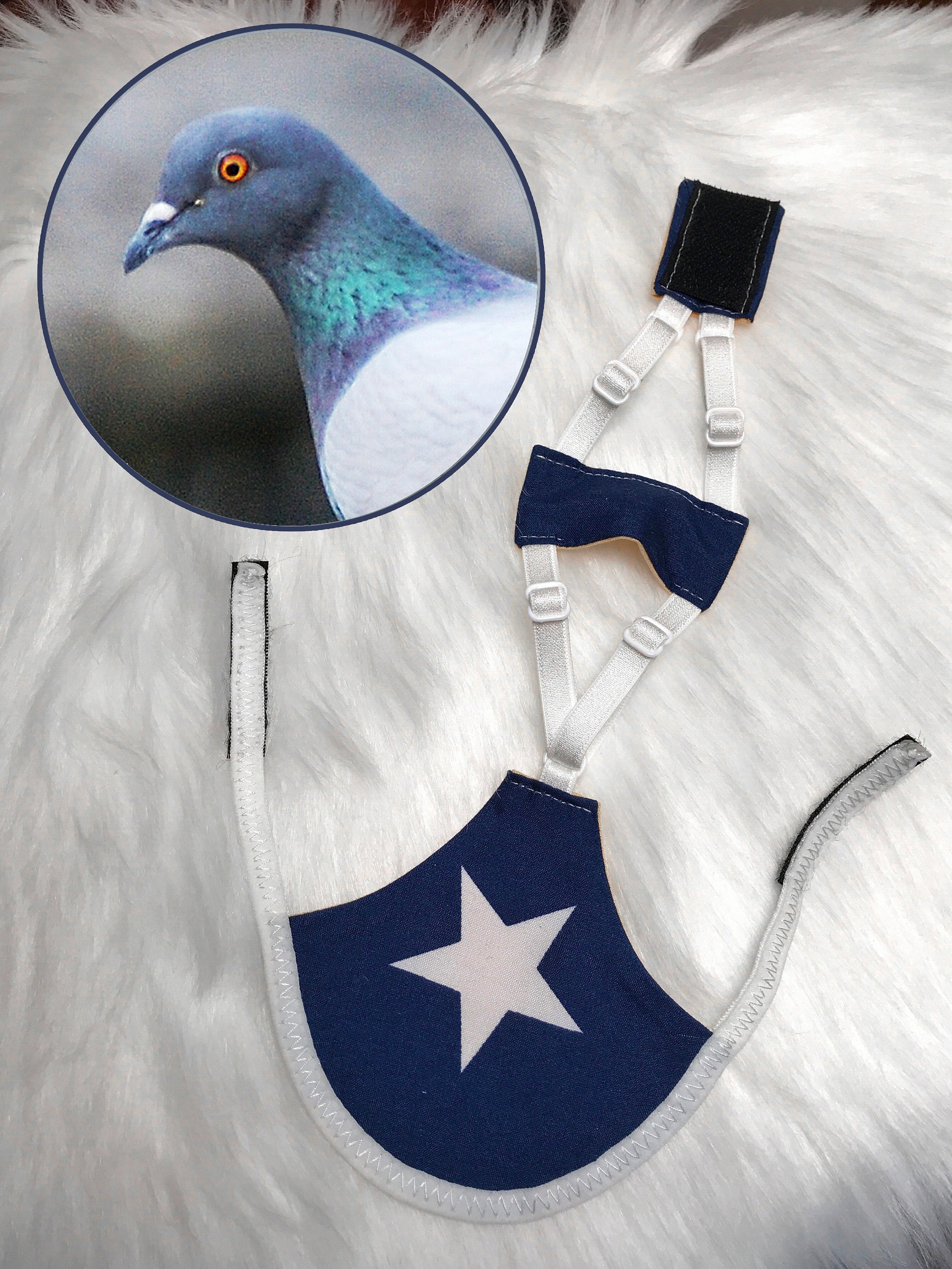 Pigeon & Dove Pants Bird Parrot Diaper Flight Suit Diaper Clothes ...