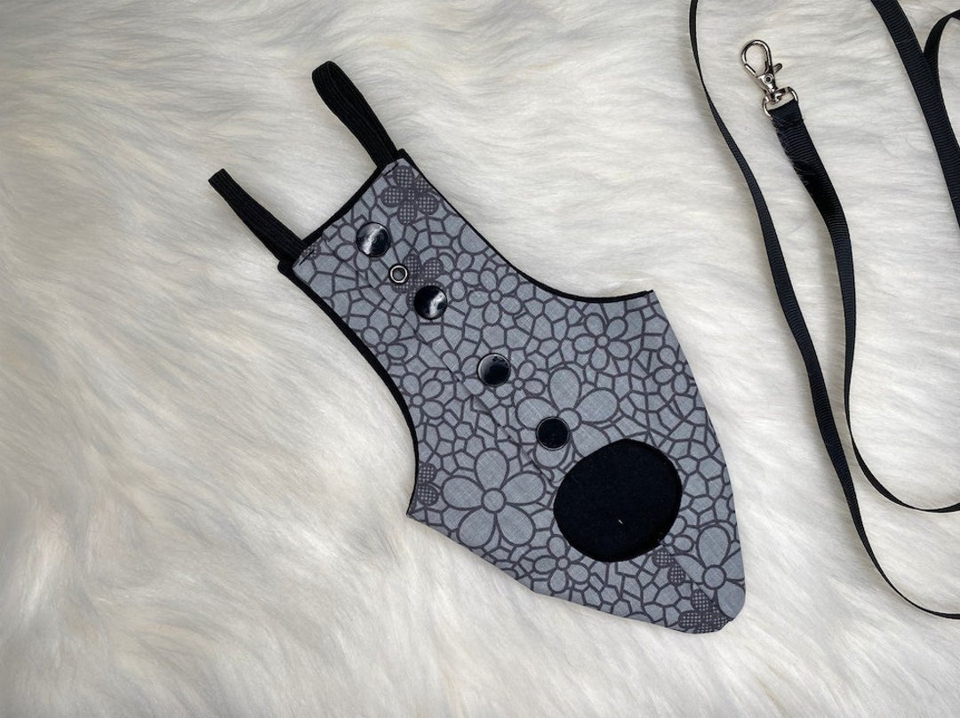 Pigeon & Dove Pants Bird Gift Harness ribbon Length 38 Inches/100cm ...