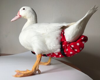 High Quality ORIGINAL Duck Chicken Goose Diaper Harness Adjustable Open ...