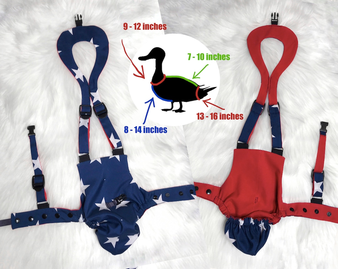 High Quality Duck Diaper, Goose Diaper, Chicken Diaper, Open Tail, Bird ...